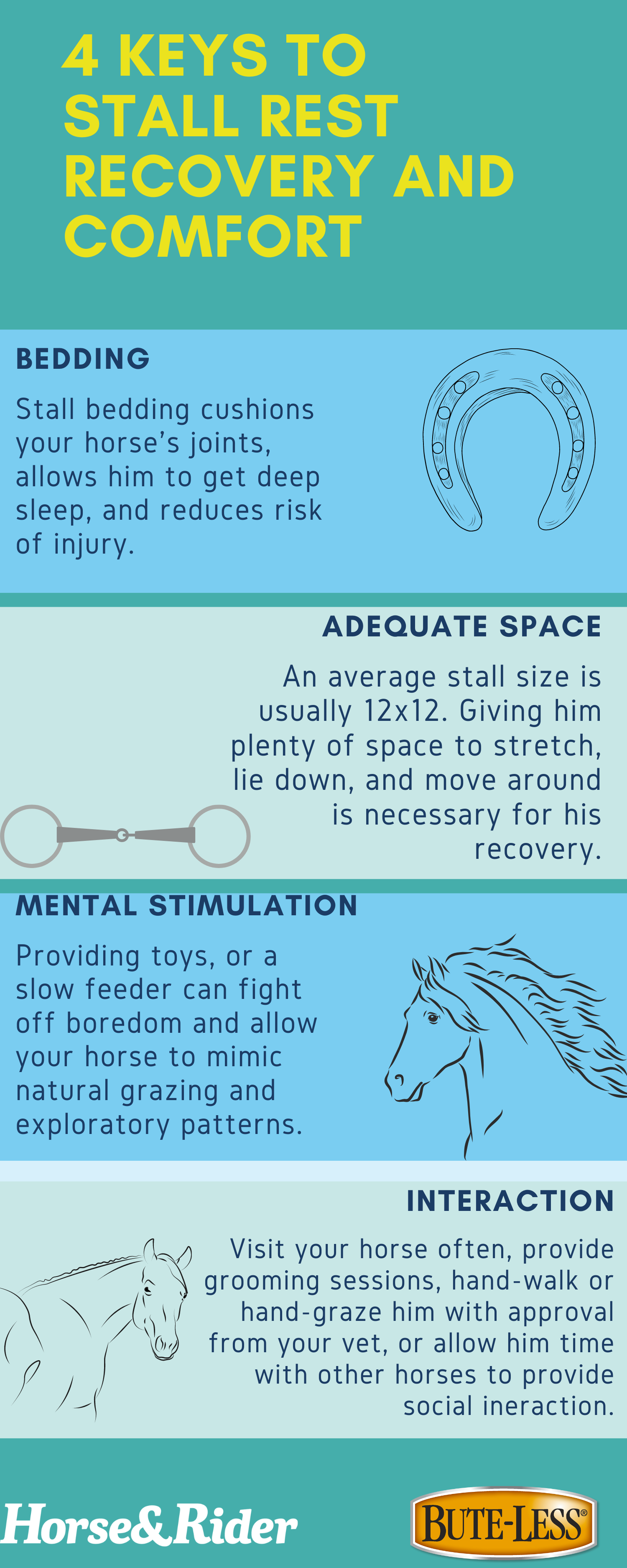 Four Keys to Stall Rest Comfort - Horse and Rider