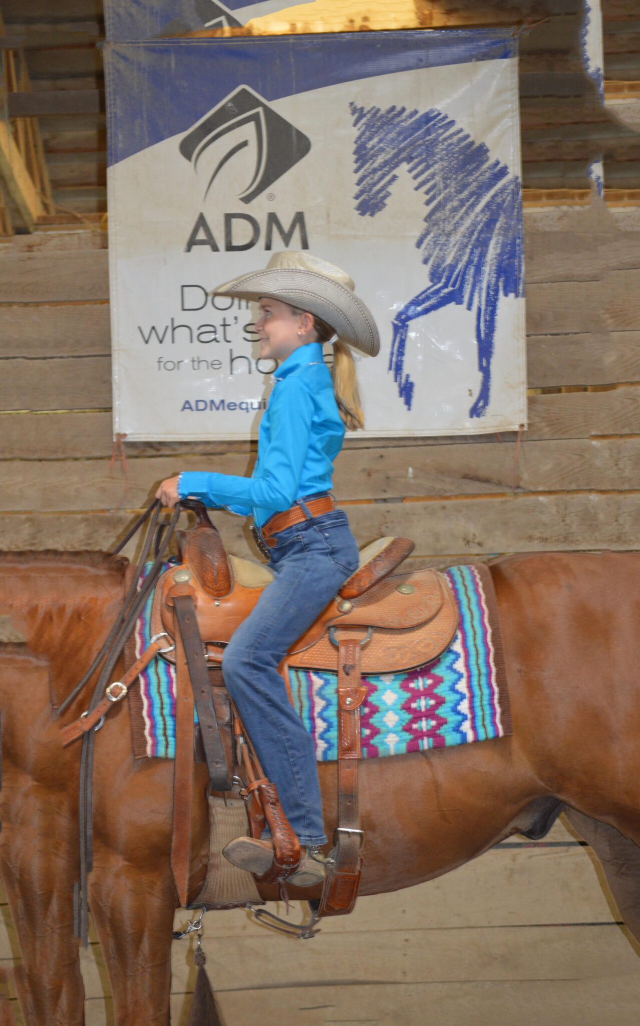 From the Top: Upper Body Rider Position - Horse and Rider