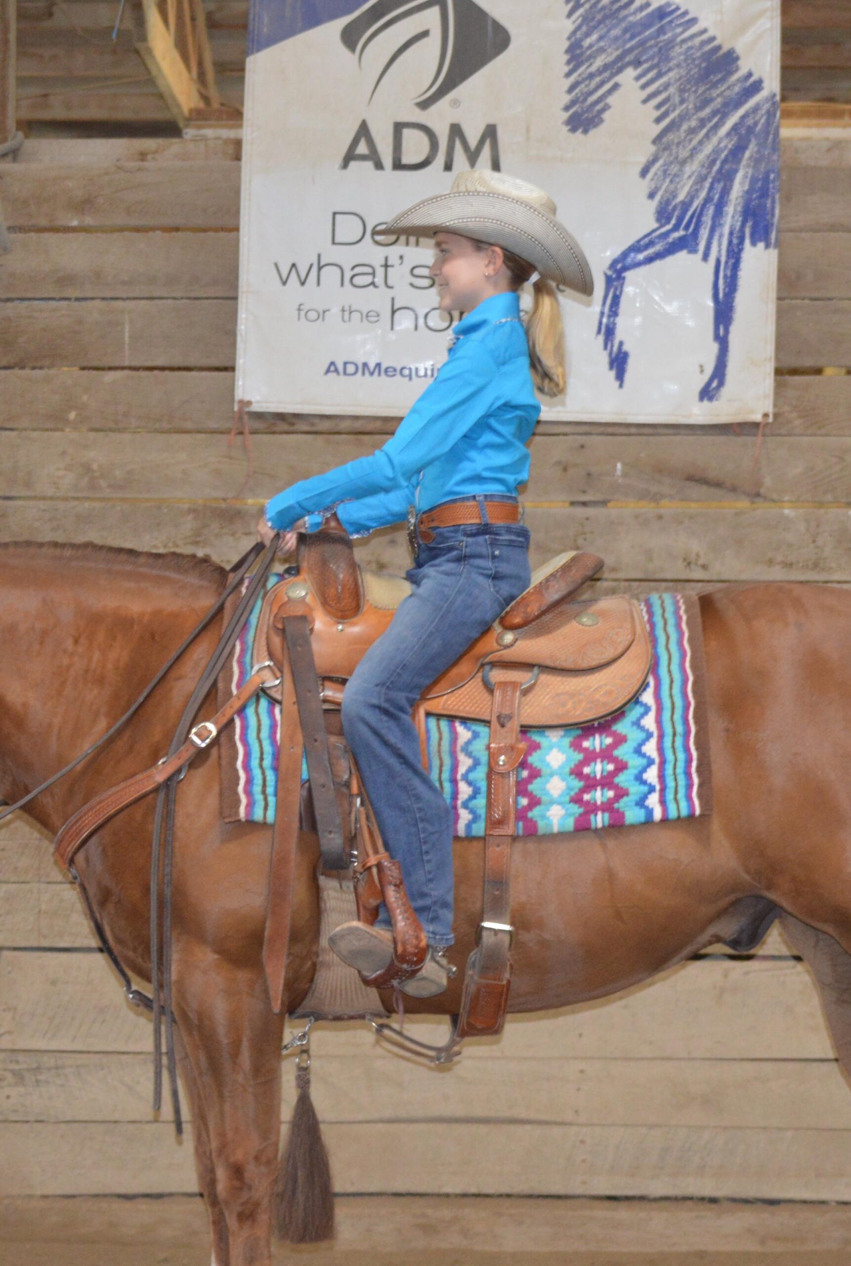 From the Top: Upper Body Rider Position - Horse and Rider
