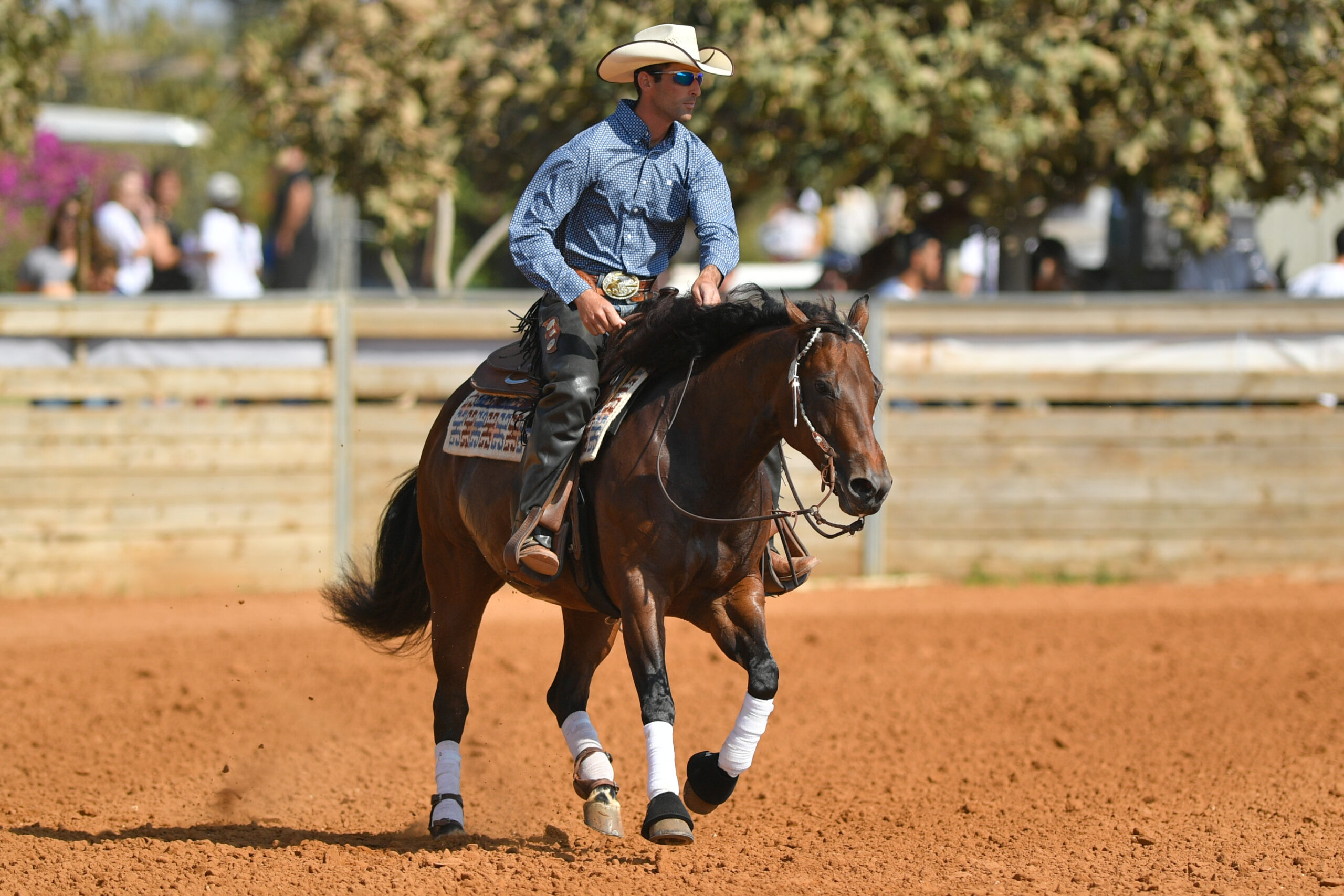 From the Top: Upper Body Rider Position - Horse and Rider