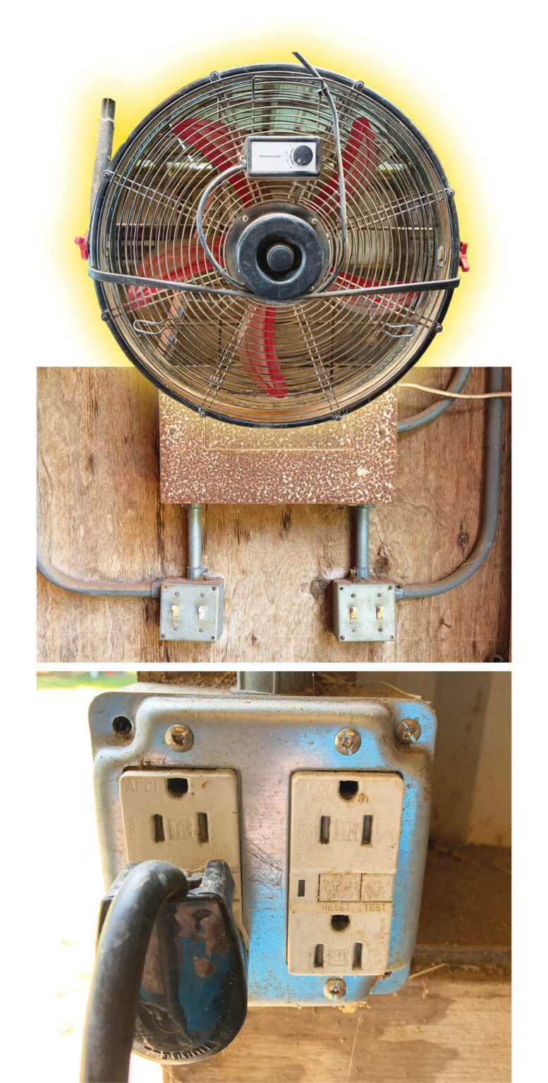 Don’t Get Shocked - Horse and Rider