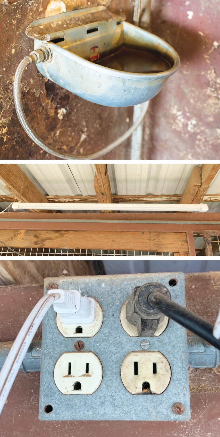 Don’t Get Shocked - Horse and Rider