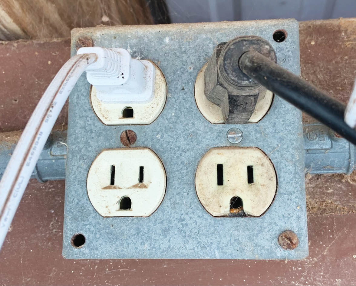 Don’t Get Shocked - Horse and Rider