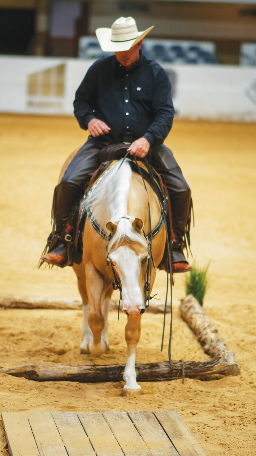 Ranch Trail 101 - Horse and Rider