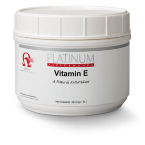 Understanding EPM - Horse and Rider