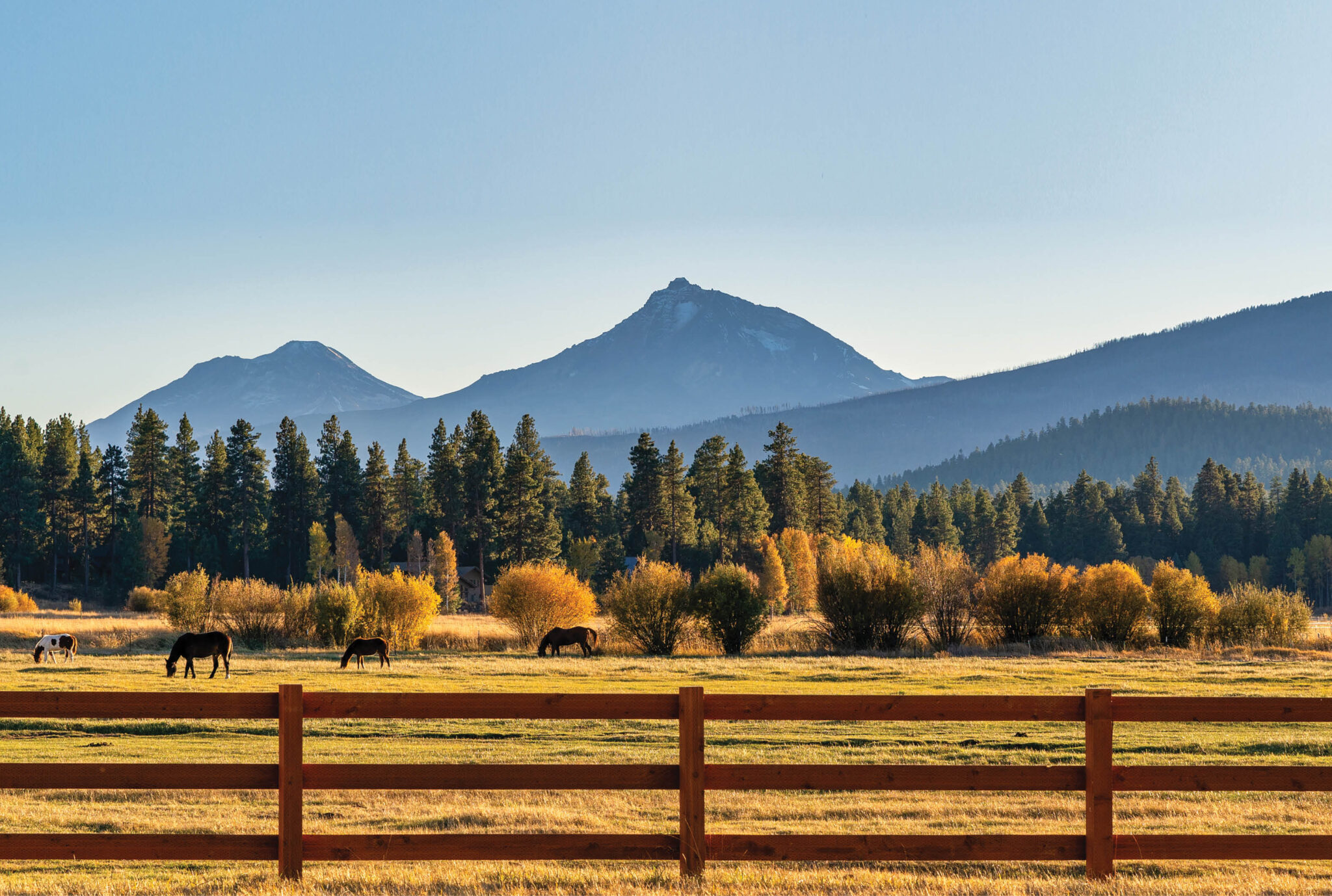 Prepare for Winter - Horse and Rider