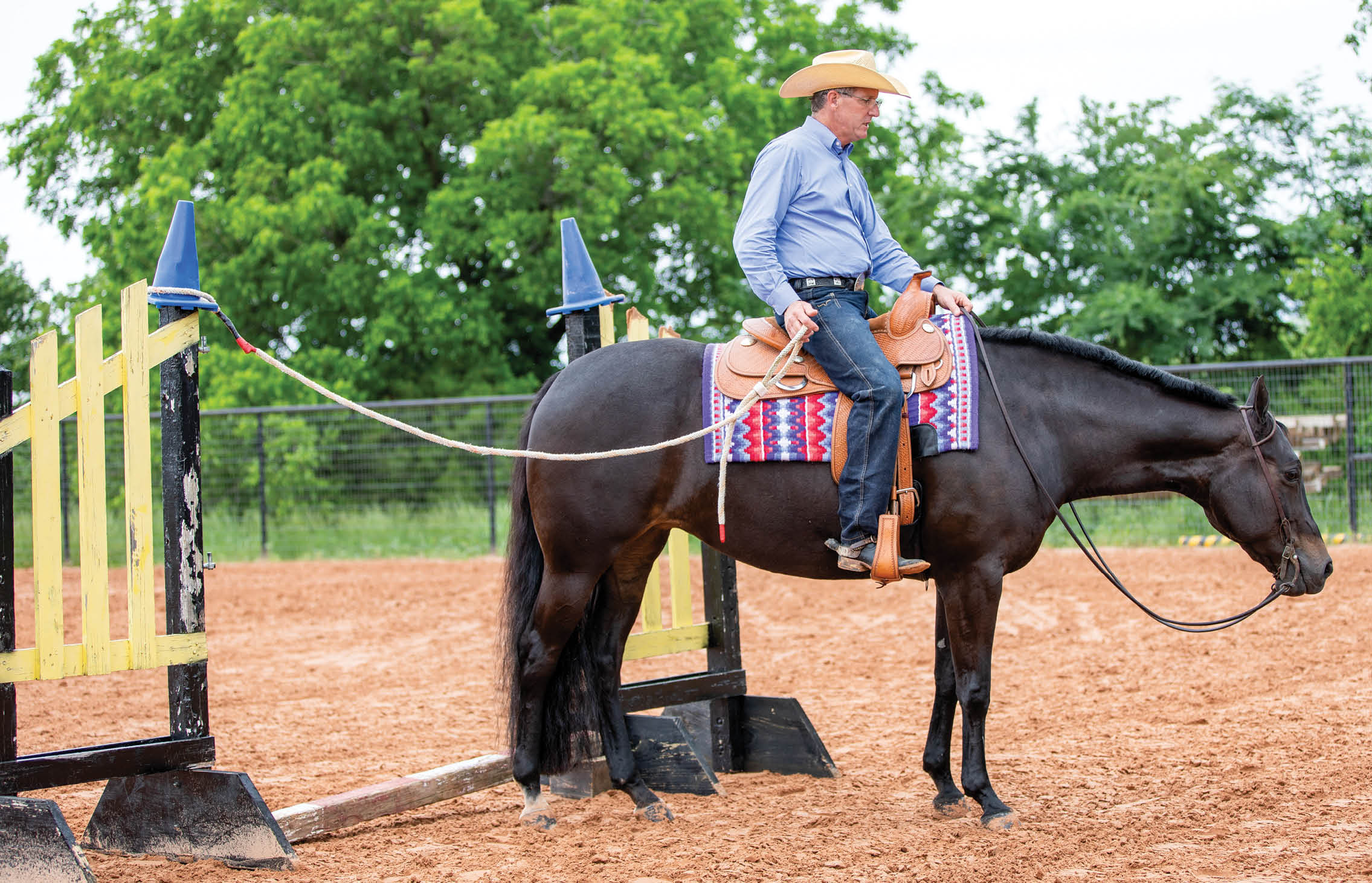 Connection and Communication - Horse and Rider