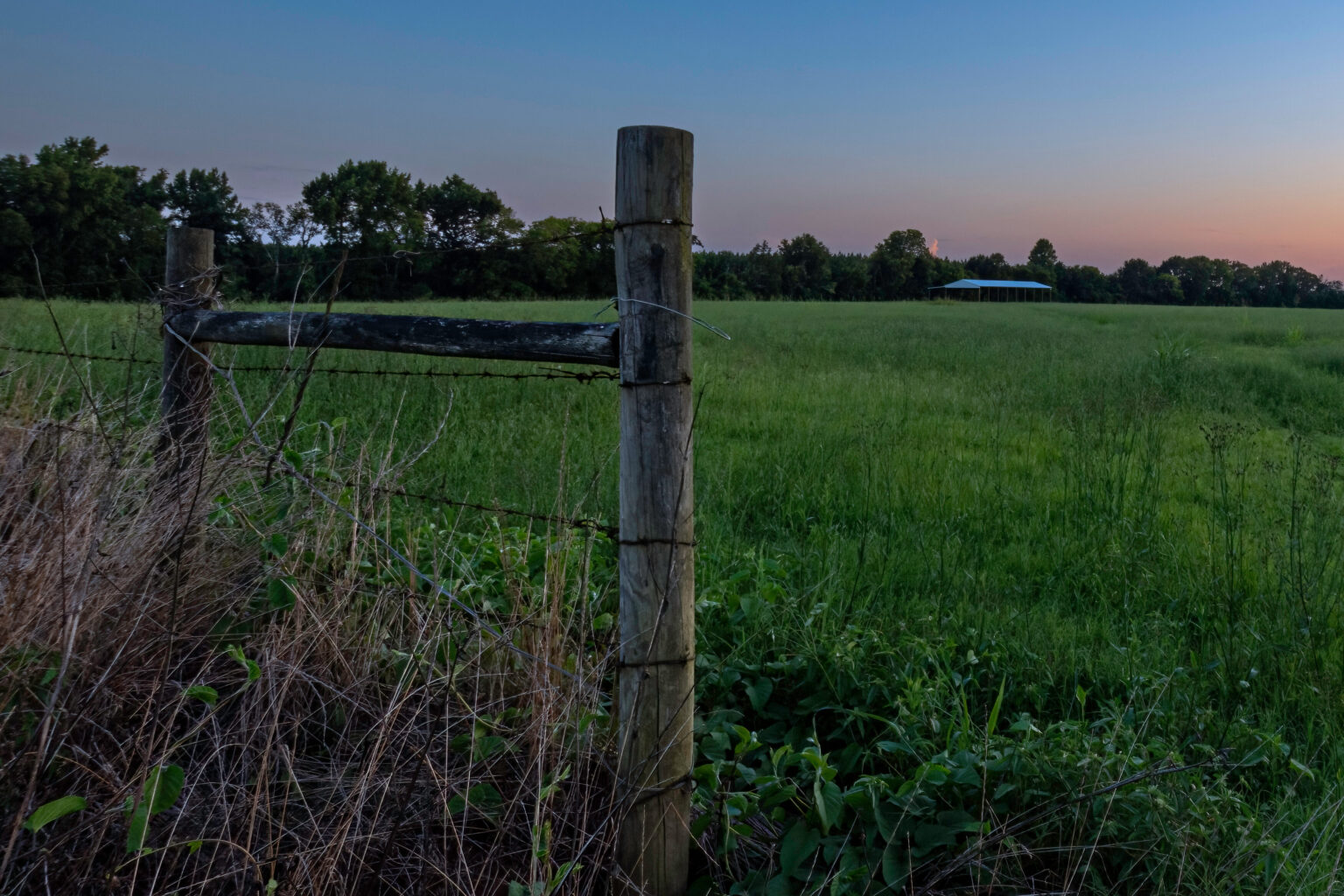 Quick Guide to H-Braces - Horse and Rider