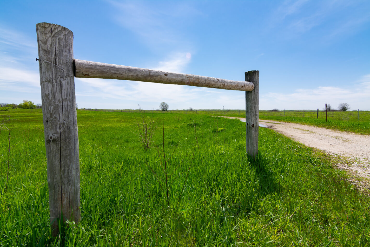 Quick Guide to H-Braces - Horse and Rider