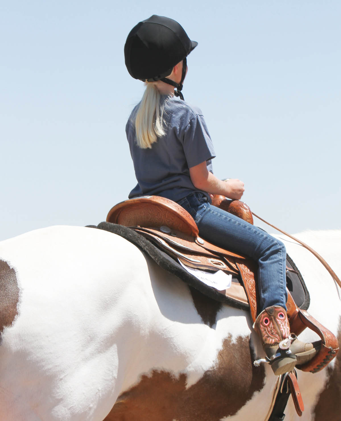 Diversity Brings Depth - Horse and Rider