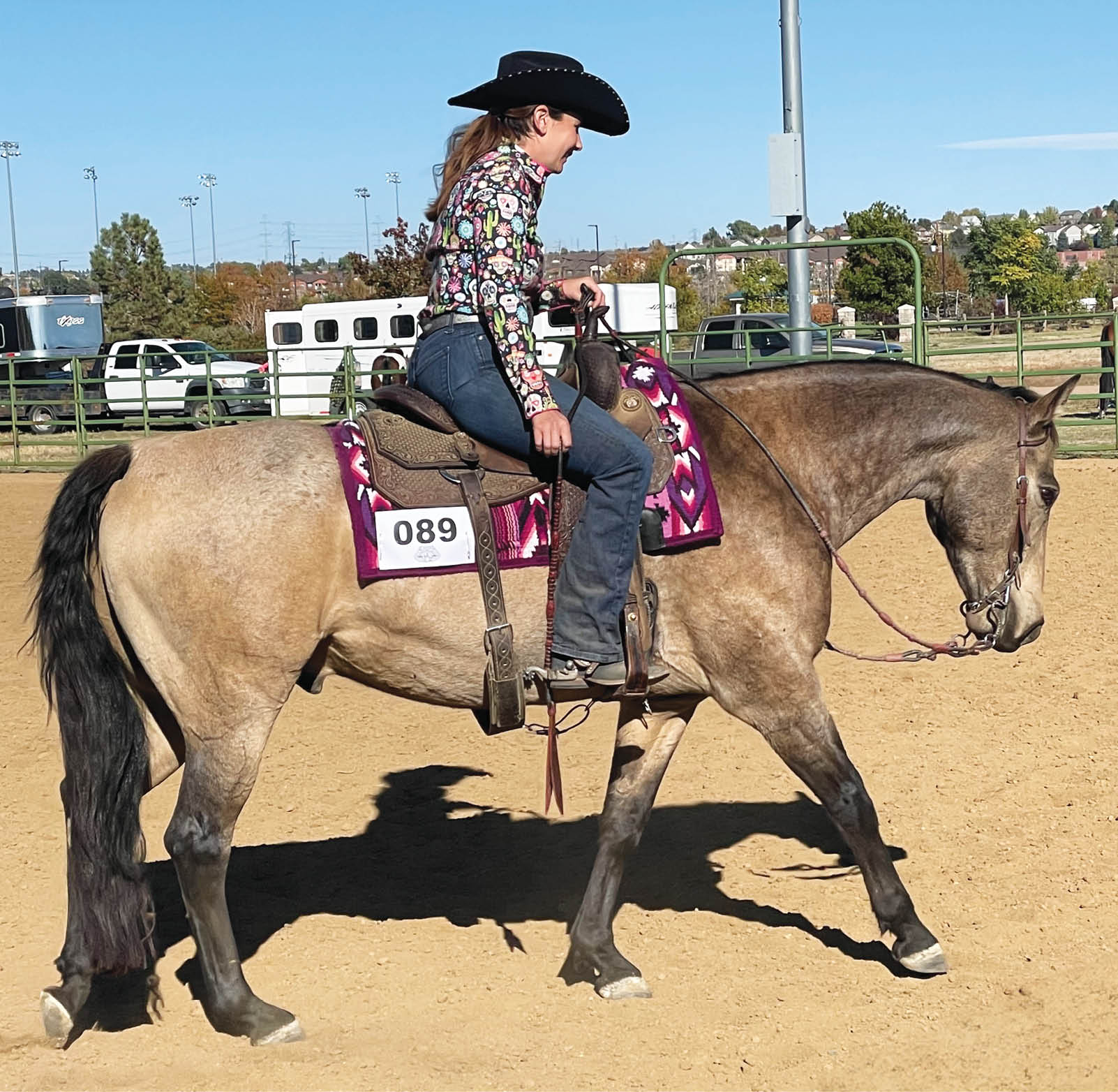 Let’s Ride! - Horse and Rider