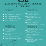 No-Stirrup November Challenge: Week 1 - Horse and Rider