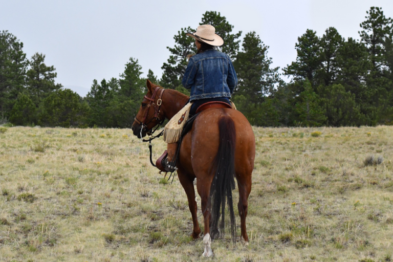 Gear Prep for a Comfortable Trail Ride - Horse and Rider