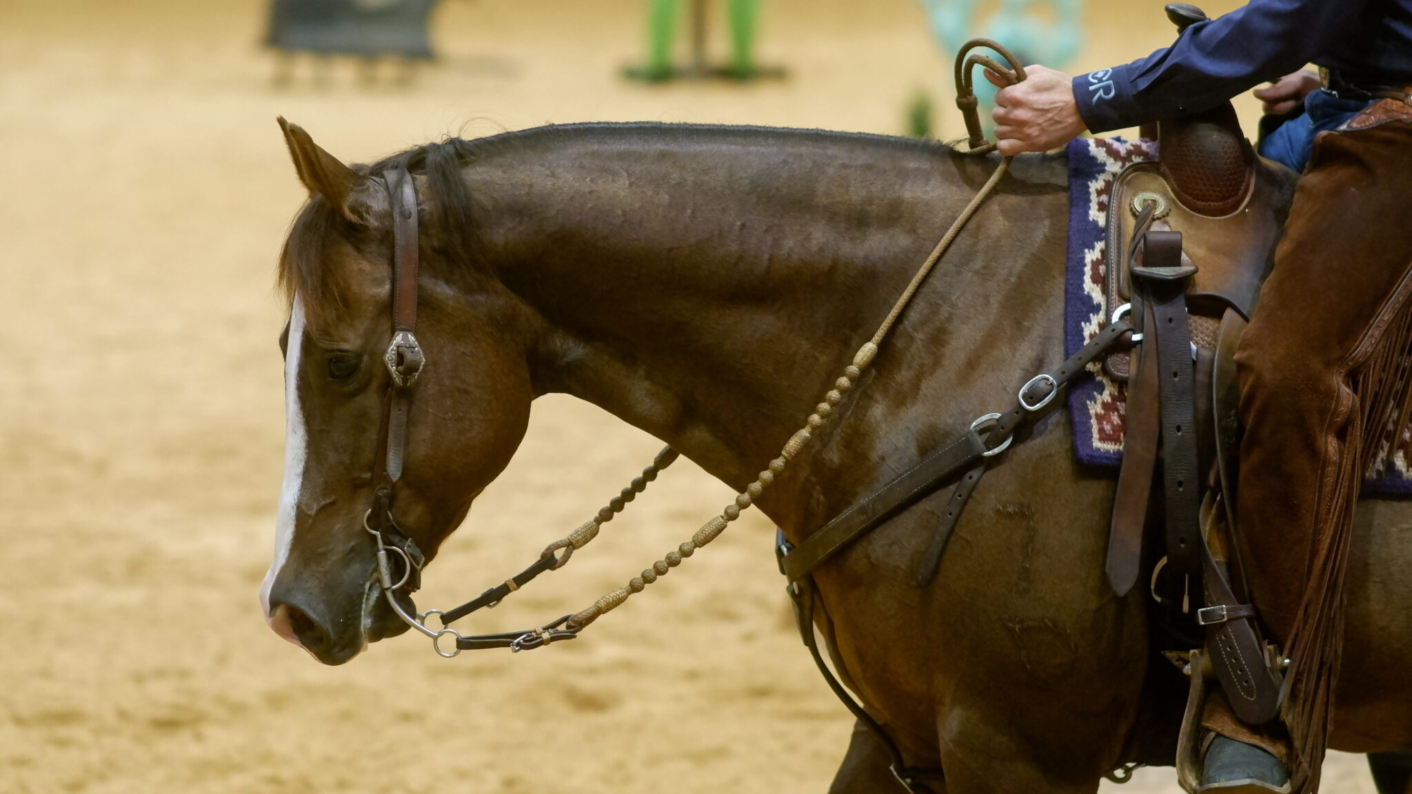 Breaking Down the Ranch Rail Class - Horse and Rider