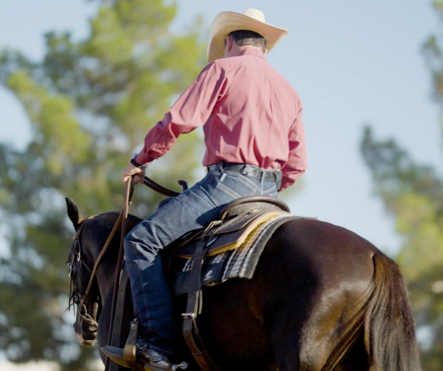 Fundamentals of a Good Stop with Andrea Fappani - Horse and Rider
