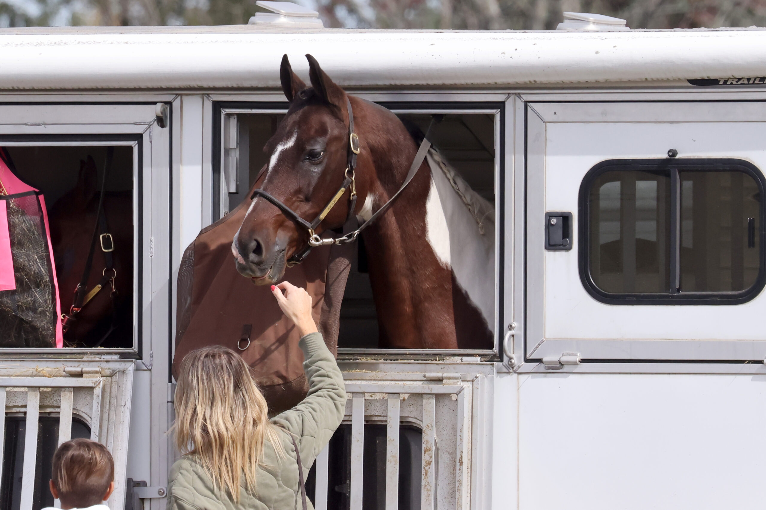 3 Basic Reasons Why Your Horse Should Load Into the Trailer - Horse and ...