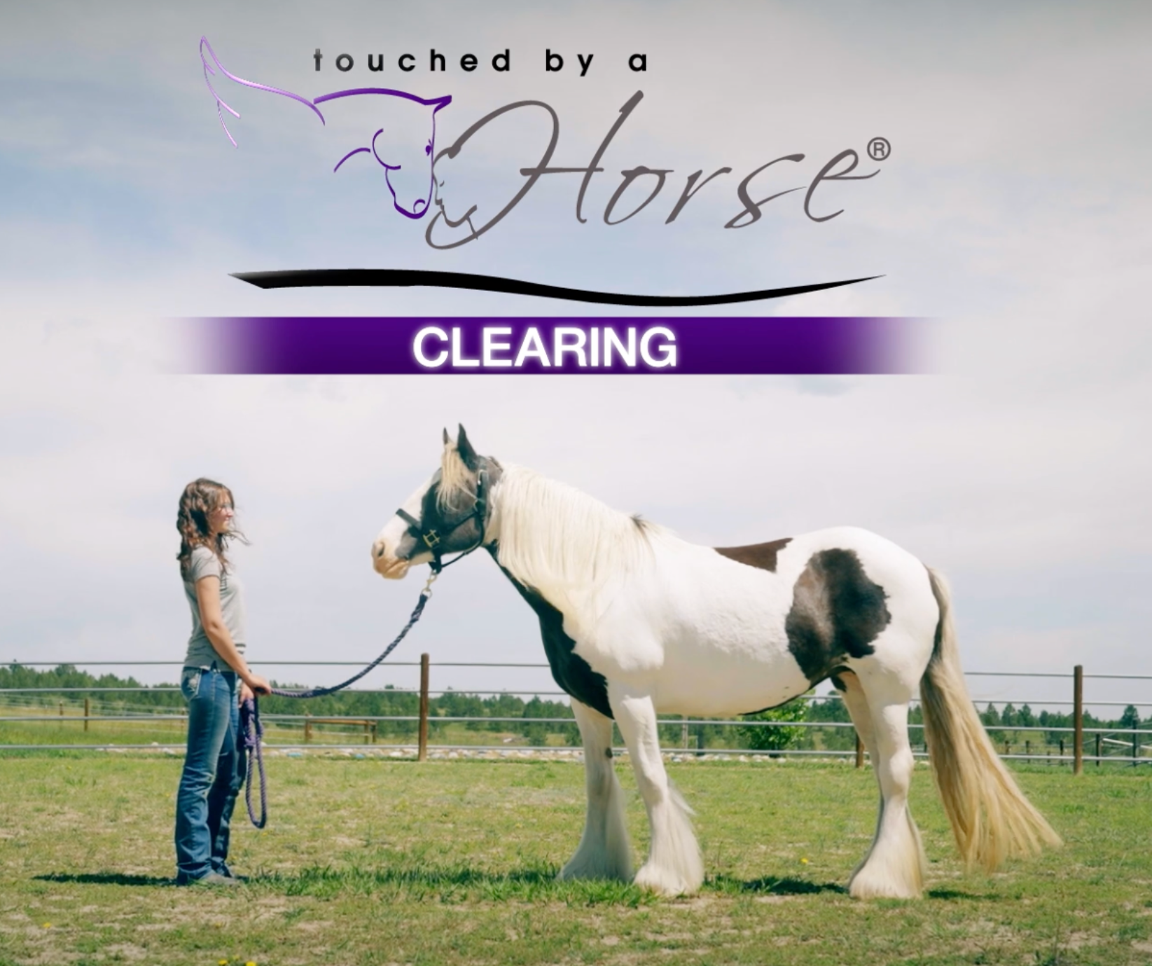 How Can You Implement Clearing and Reach Your Goals? - Horse and Rider