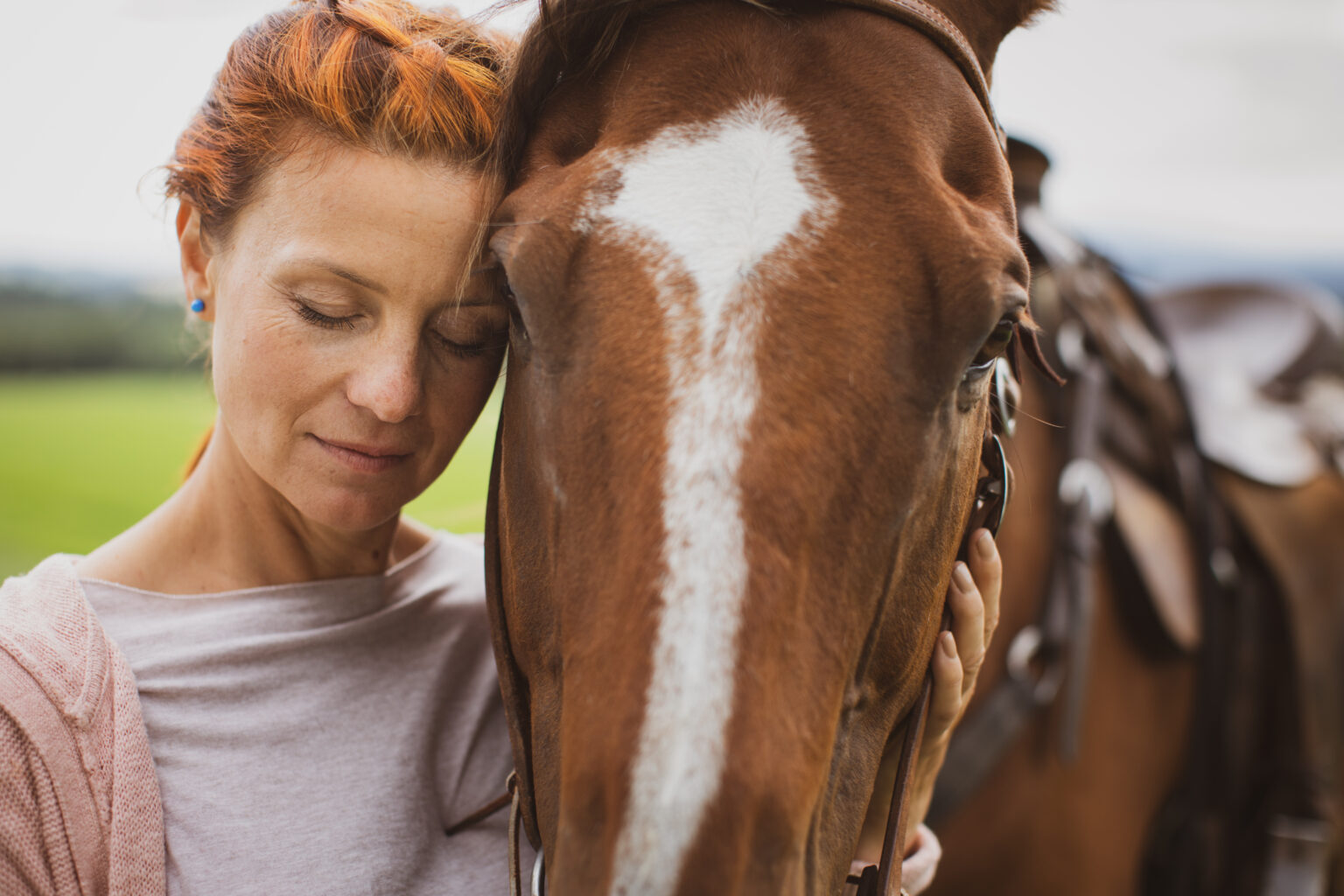 5 Tips for Your New Year Goals - Horse and Rider