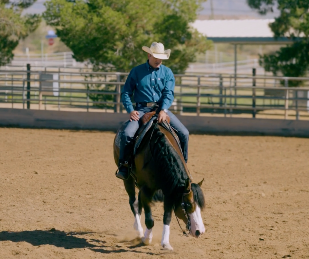 How Your Simple Cues Impact Your Horse With Andrea Fappani - Horse and ...