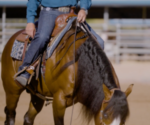 The Importance of Pattern Practice at Home with Andrea Fappani - Horse ...