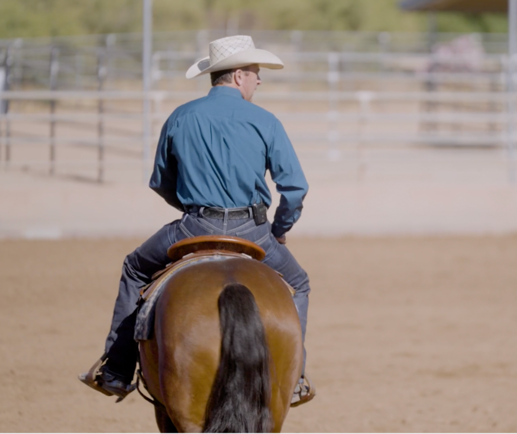 The Importance of Pattern Practice at Home with Andrea Fappani - Horse ...