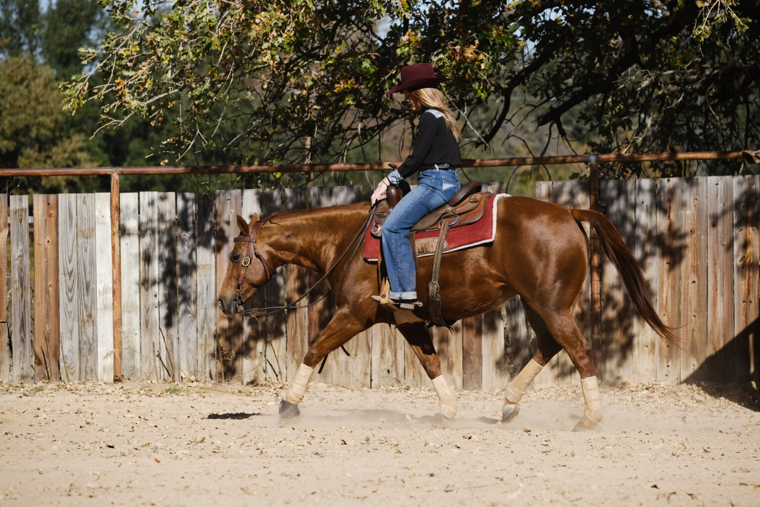 Is Your Horse Bored of Your Riding Routine? - Horse and Rider