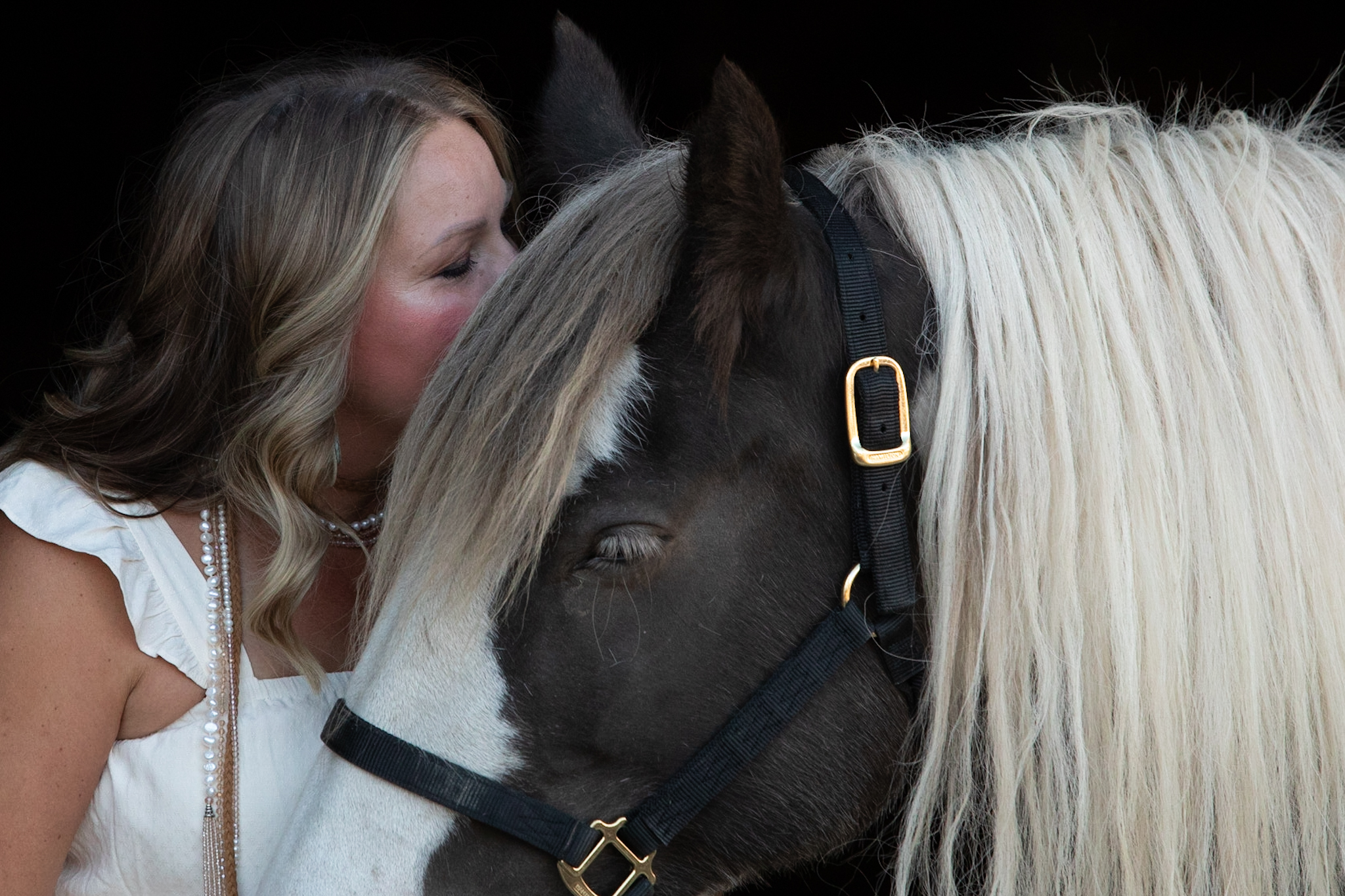 The Equine Echo: How Horses Reflect Your Emotions Back to You - Horse ...