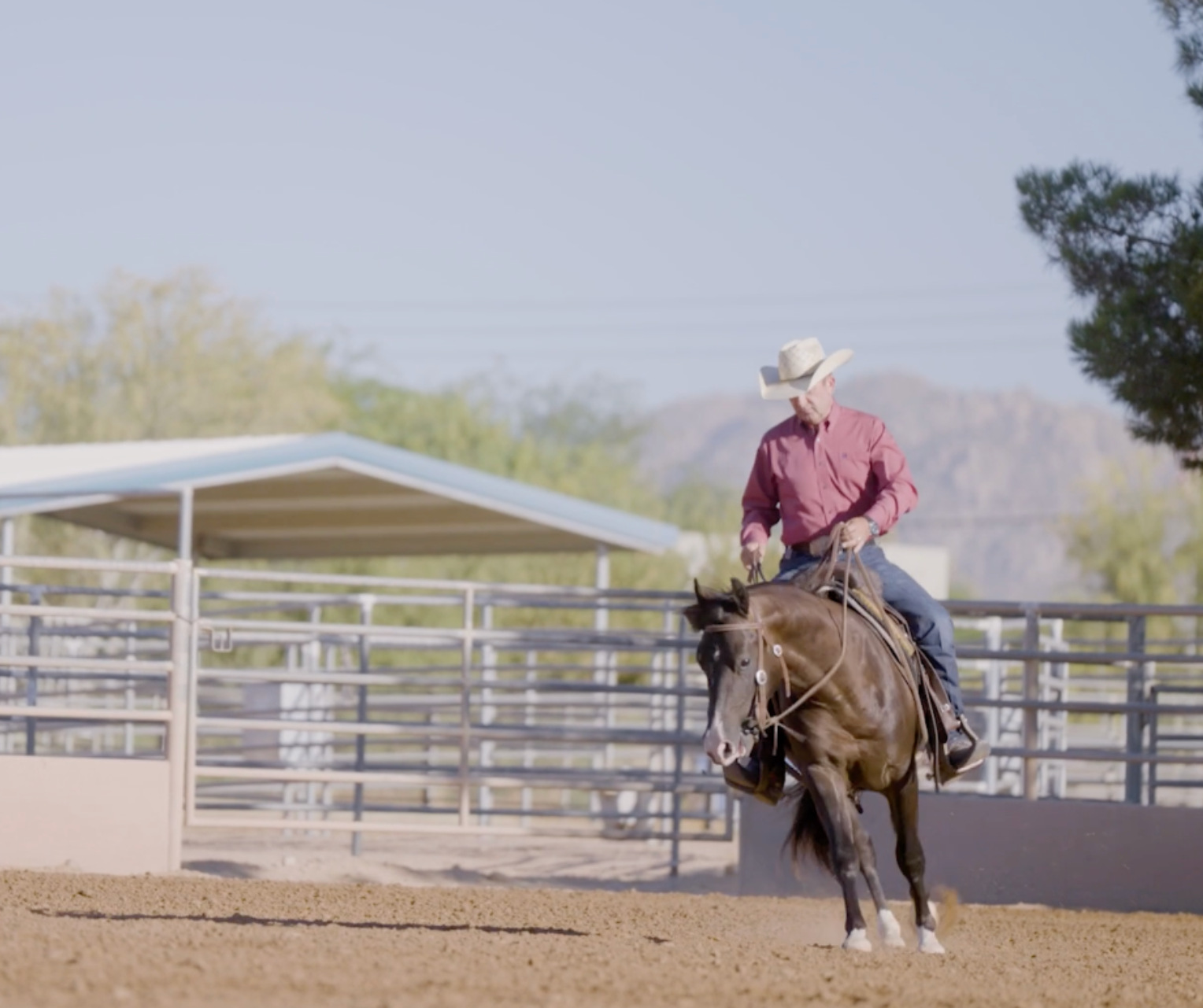 Pushing Yourself Beyond Your Comfort Zone with Andrea Fappani - Horse ...