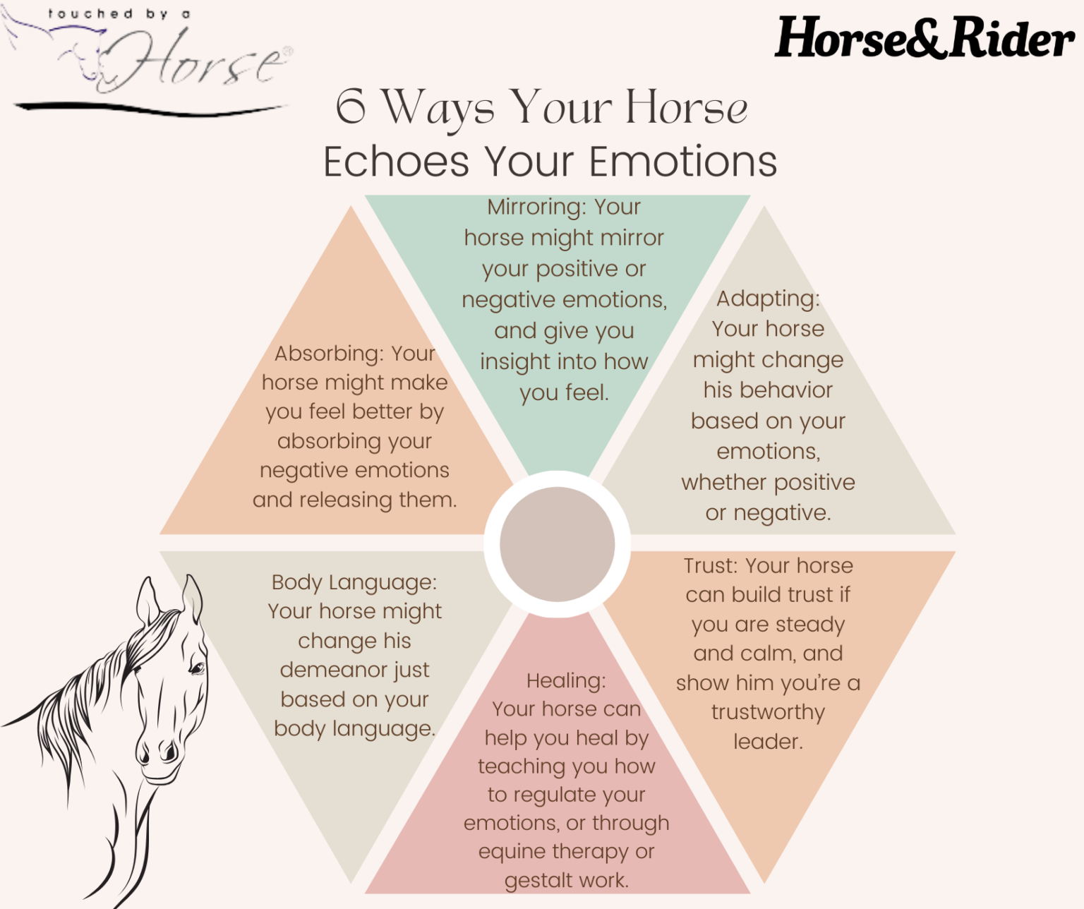 6 Ways Your Horse Echoes Your Emotions - Horse and Rider