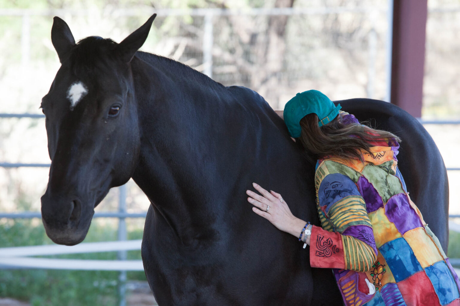 Can Horses Read And Respond To Human Emotions Horse And Rider