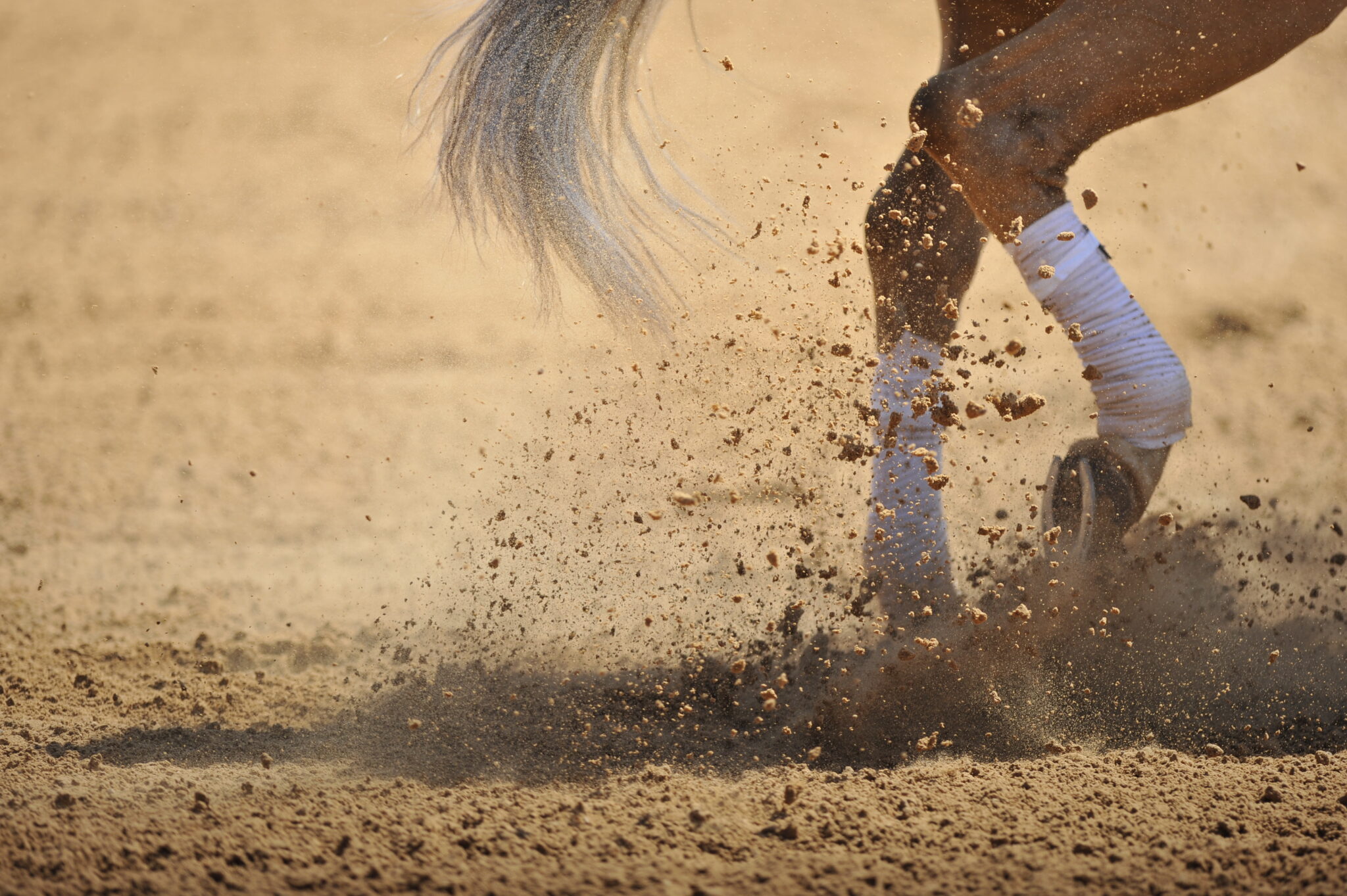 Stuck In a Training Rut? Try This. - Horse and Rider