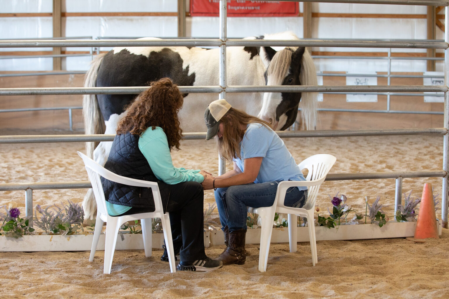 Horses Help Develop Emotional Intelligence - Horse and Rider