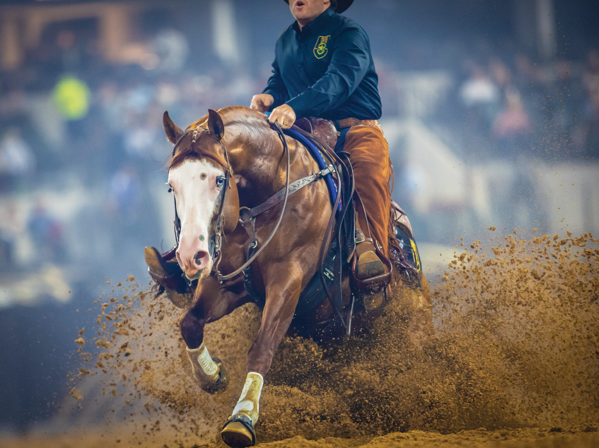 American Performance Horseman Features Elite Equine Athletes