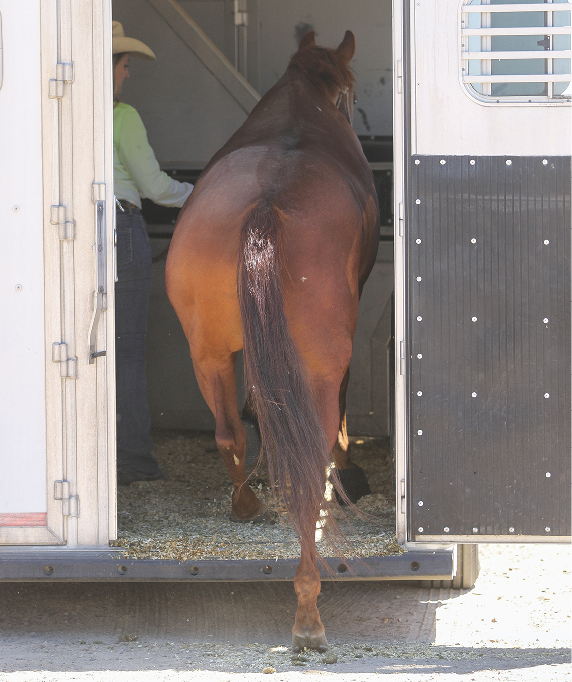 Keep Loading Easy - Horse and Rider