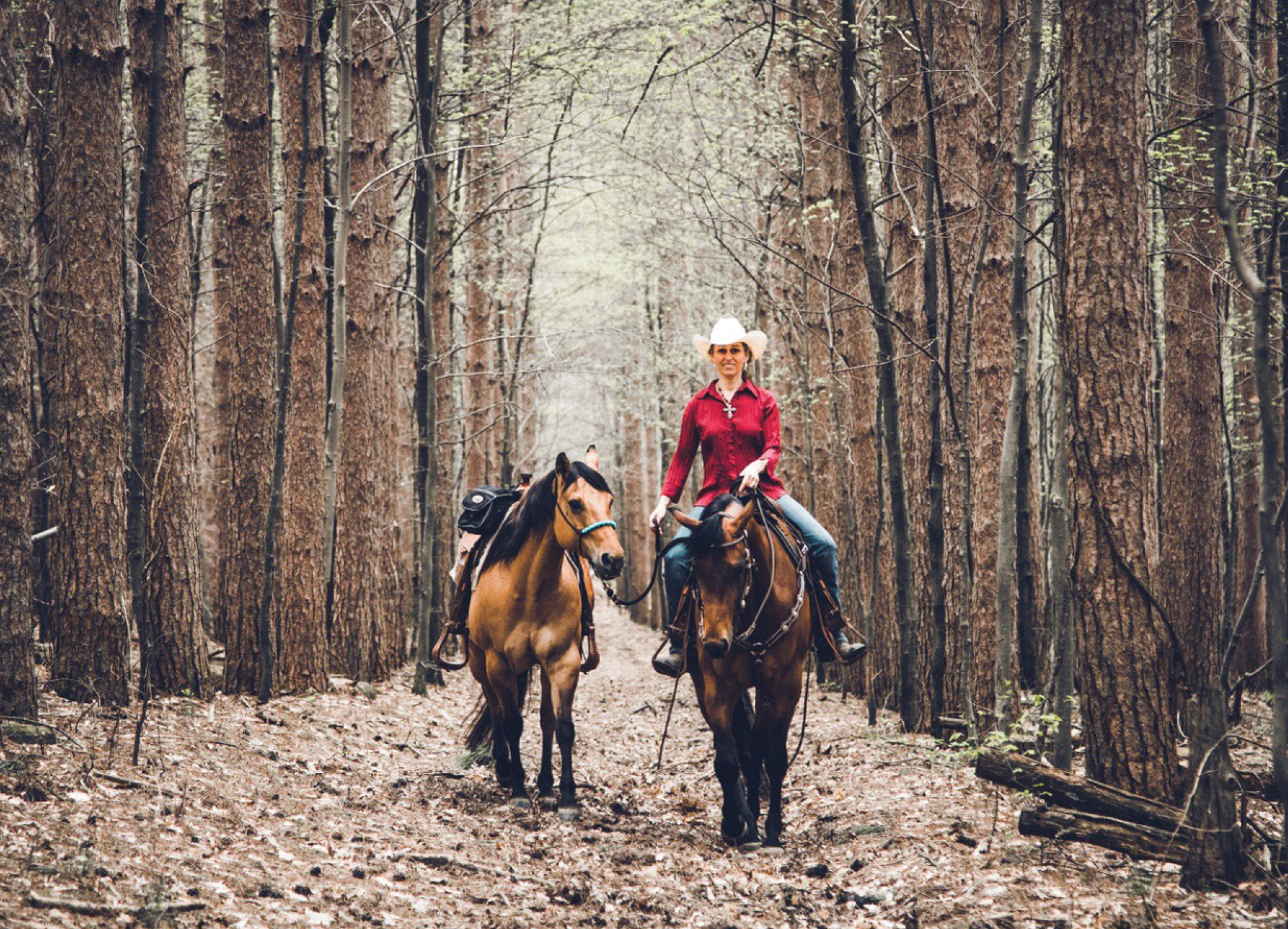 Fit for the Adventure - Horse and Rider