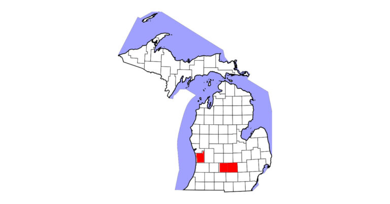 Strangles Confirmed in 3 Michigan Counties - Horse and Rider