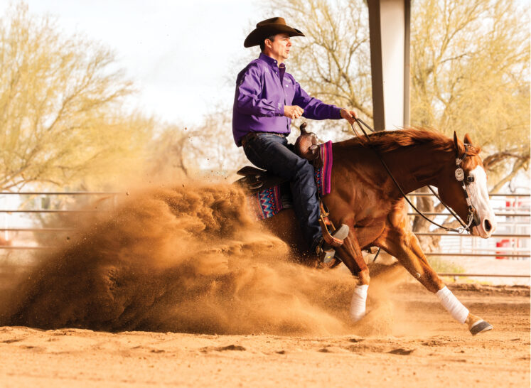 Perfecting Your Pattern - Horse and Rider