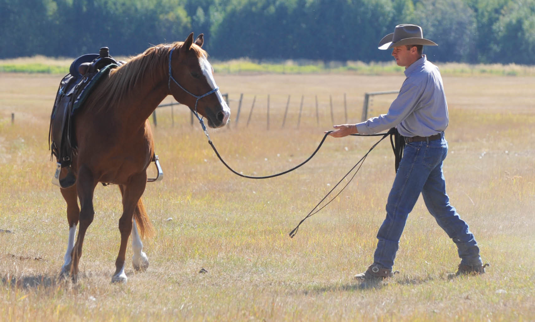 Ground Training for a Better Ride - Horse and Rider