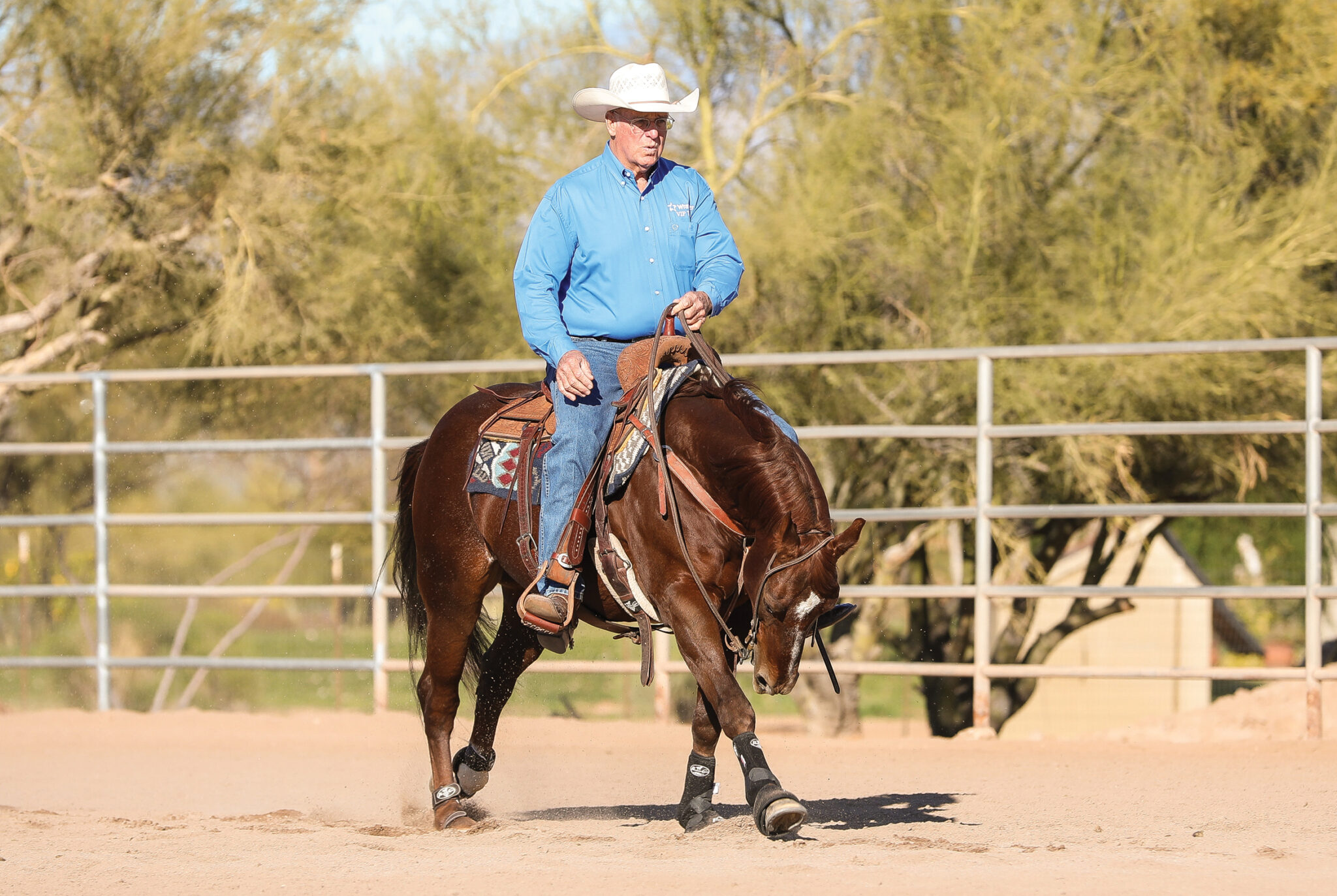 Get Your Rundown Right - Horse and Rider
