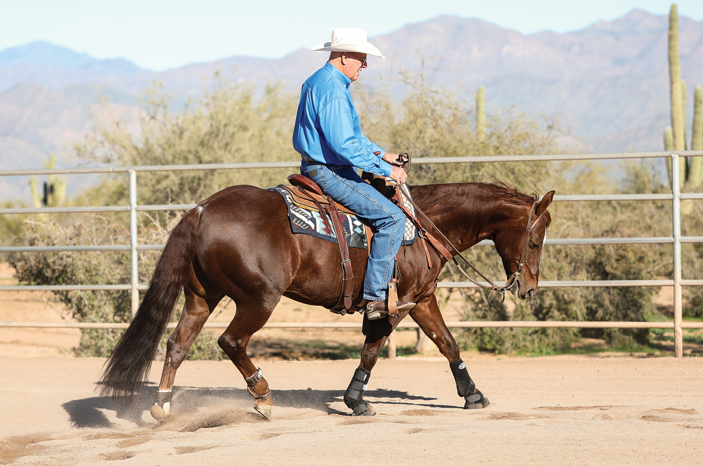 Get Your Rundown Right - Horse and Rider