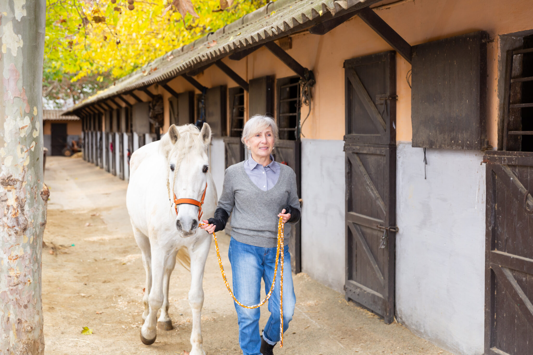 Tips for Senior Horseback Riders