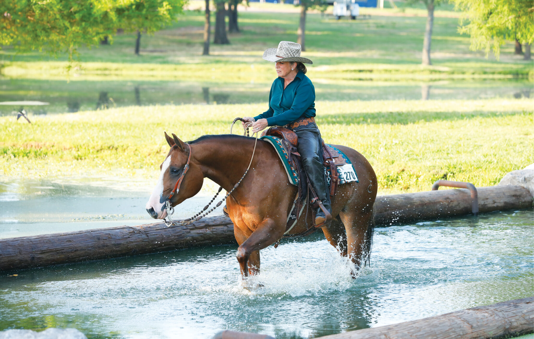Travel to Amarillo, Texas for the the AQHA Versatility Ranch Horse ...