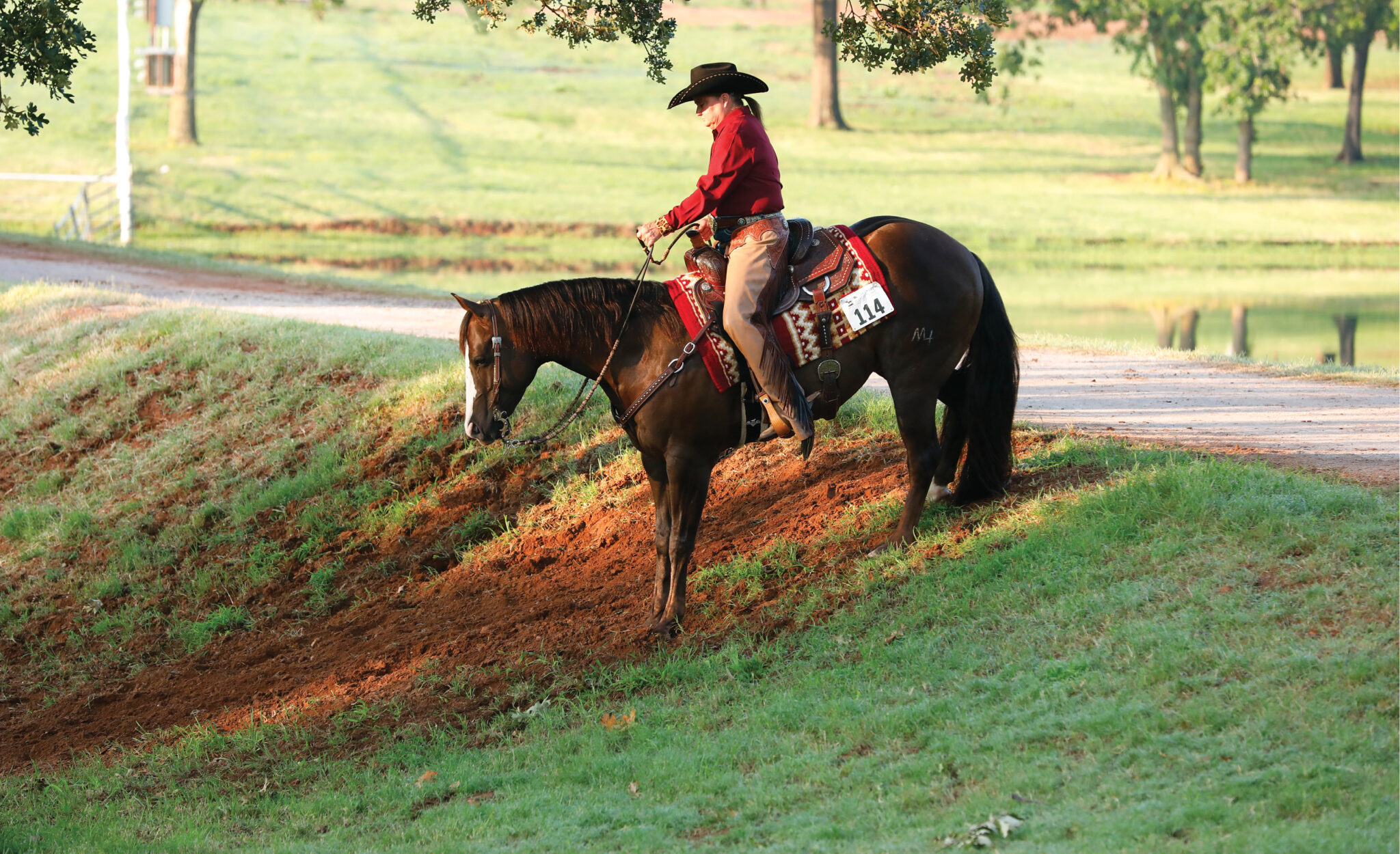 Travel to Amarillo, Texas for the the AQHA Versatility Ranch Horse ...