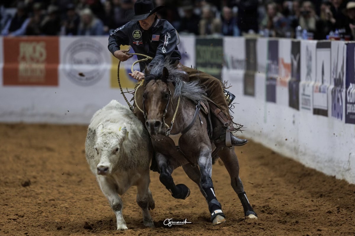 Sire Spotlight: Call Me Mitch - Horse and Rider