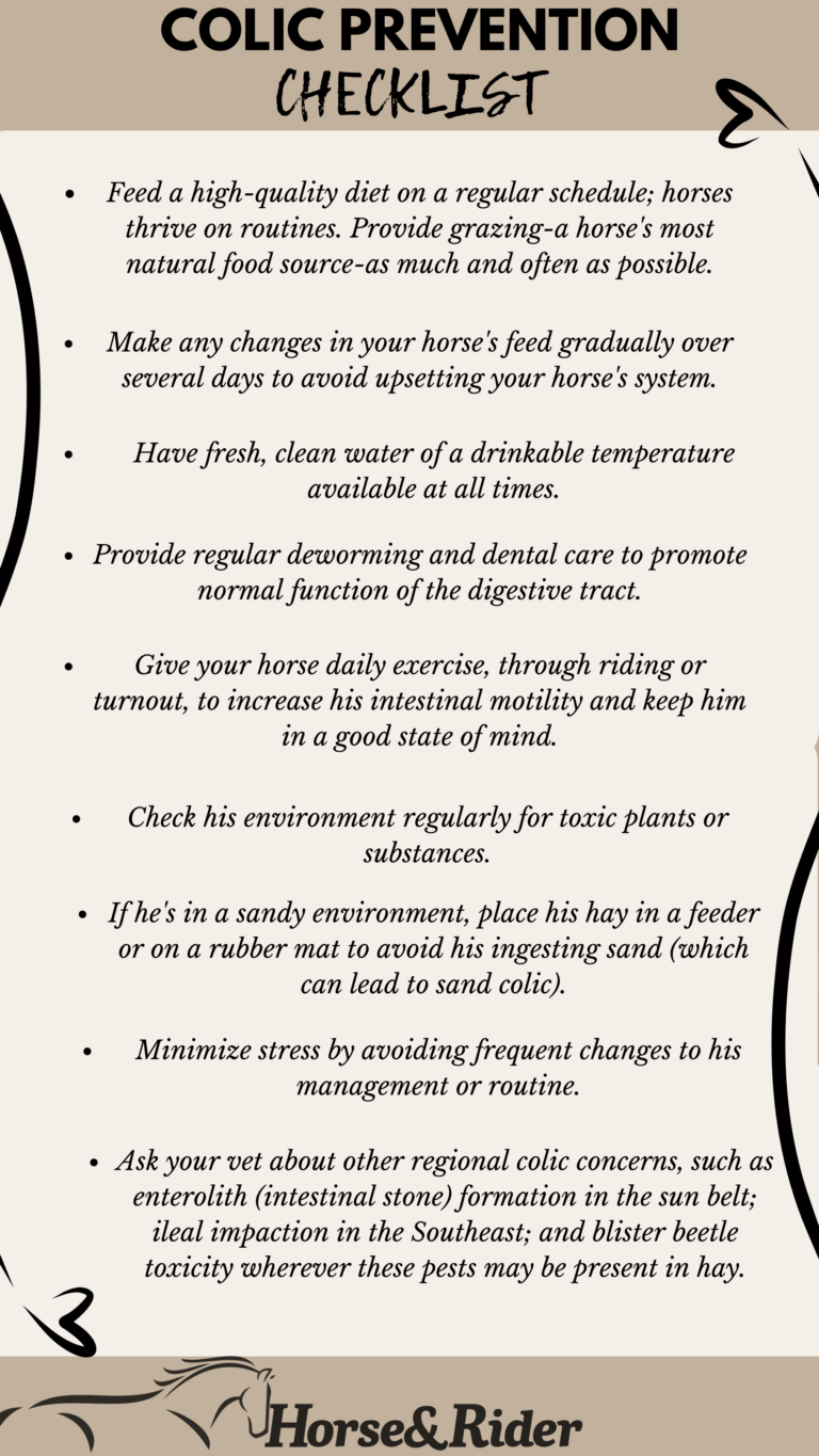 Colic Prevention Tips - Horse and Rider