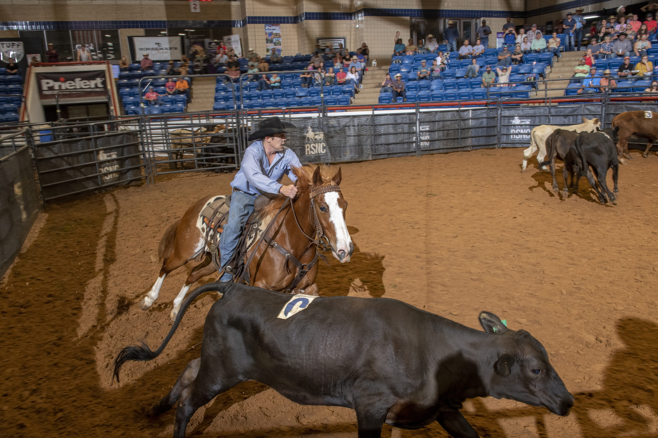 ranch sorting numbers