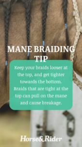 Maximum Mane Care Tips - Horse and Rider