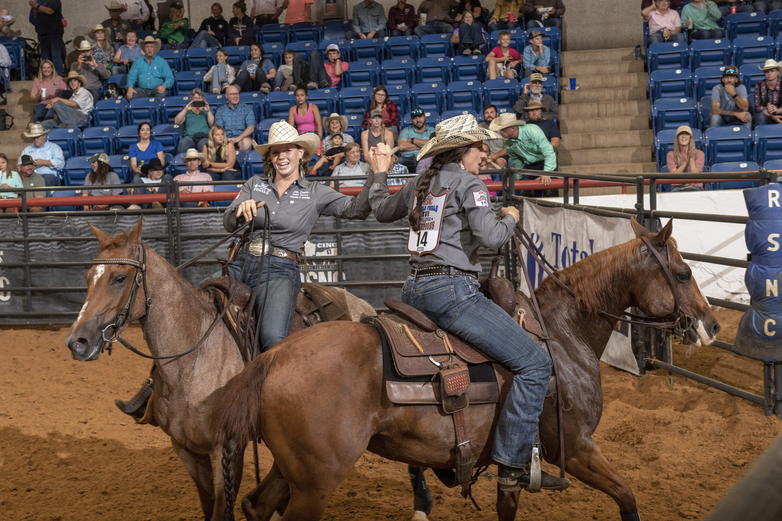 Getting Started in Ranch Sorting - Horse and Rider