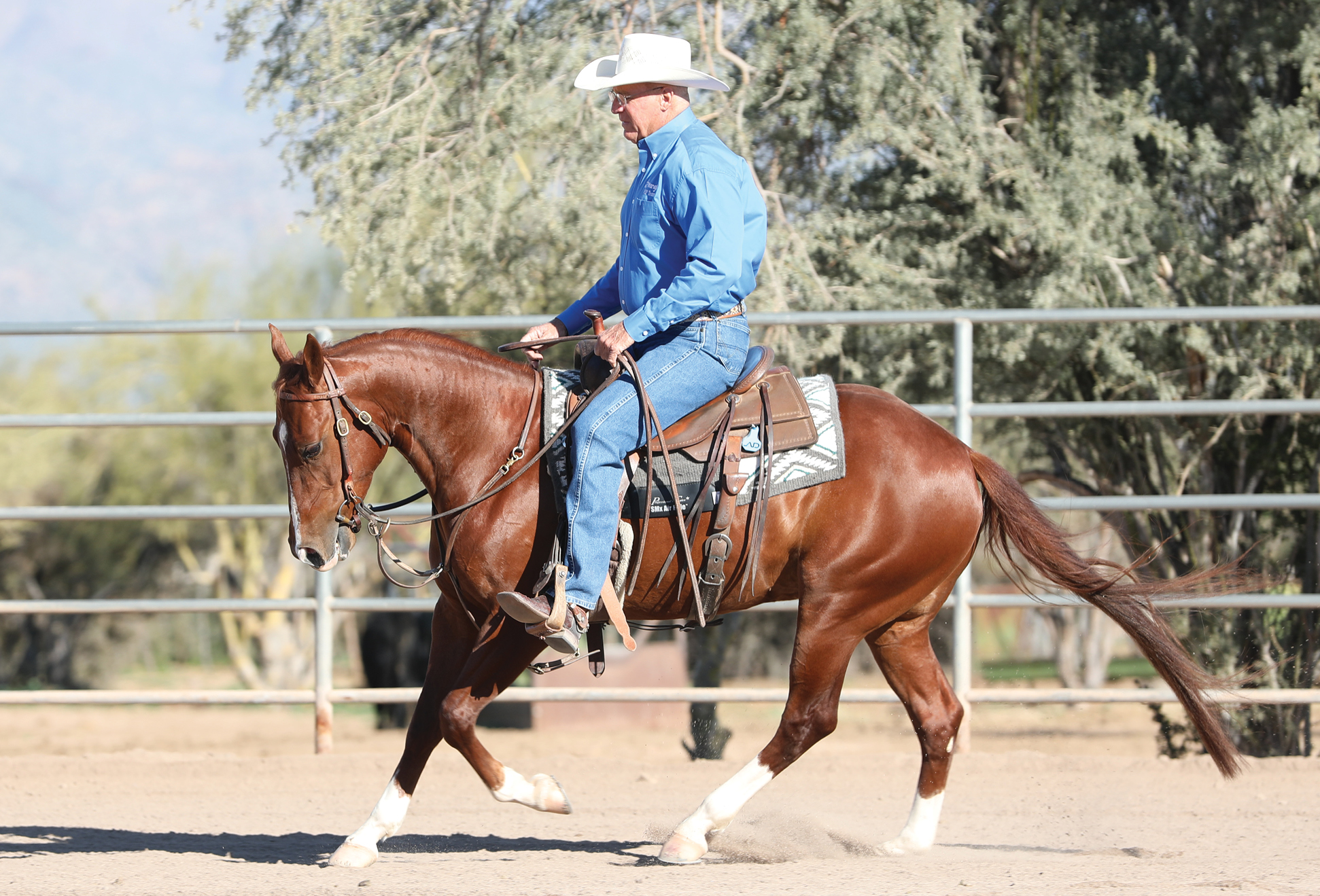 Why the Rush? - Horse and Rider