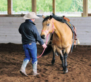 Training the Sensitive Horse - Horse and Rider